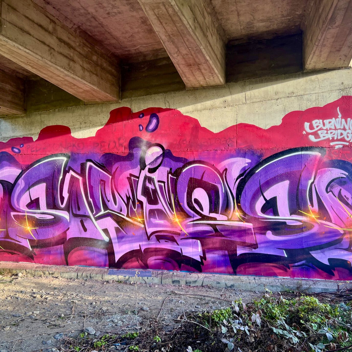 Spray Painting Fundamentals – Casual Art Classes at The Learning Connexion